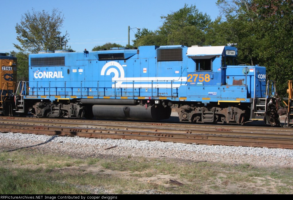 2758 sunning with a new horn